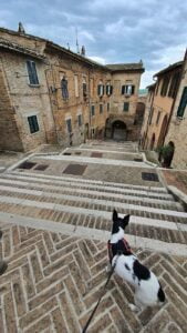 Cosa vedere a Corinaldo il paese dei matti e dei polentari