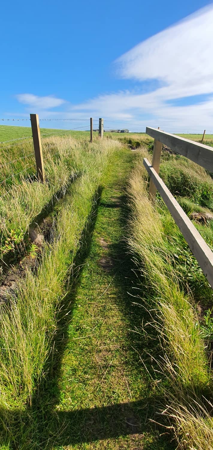 Castle O'Burrian: la magica casa dei puffin a Westray (Orcadi ...